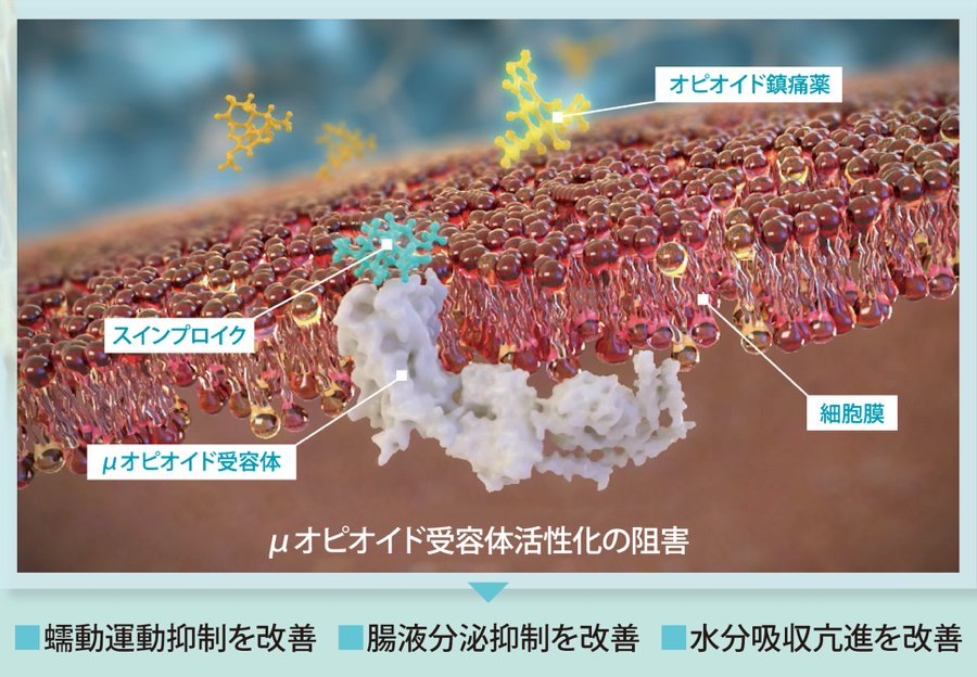 スインプロイク | がん疼痛 | 塩野義製薬 医療関係者向け情報
